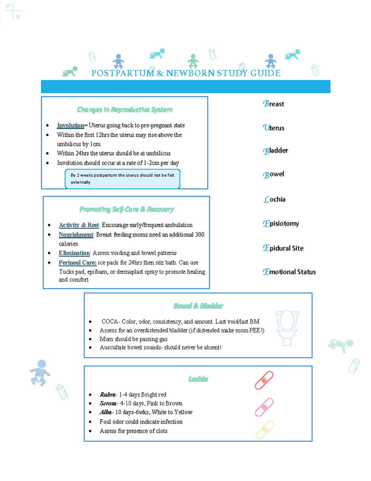 Maternity Exam 2 Study Guide: Postpartum & Newborn Care Essentials ...