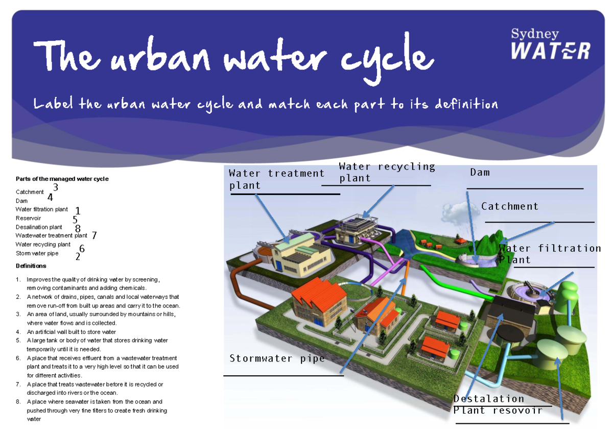 Urban Water Cycle Worksheet: Labeling and Definitions Guide - Studocu