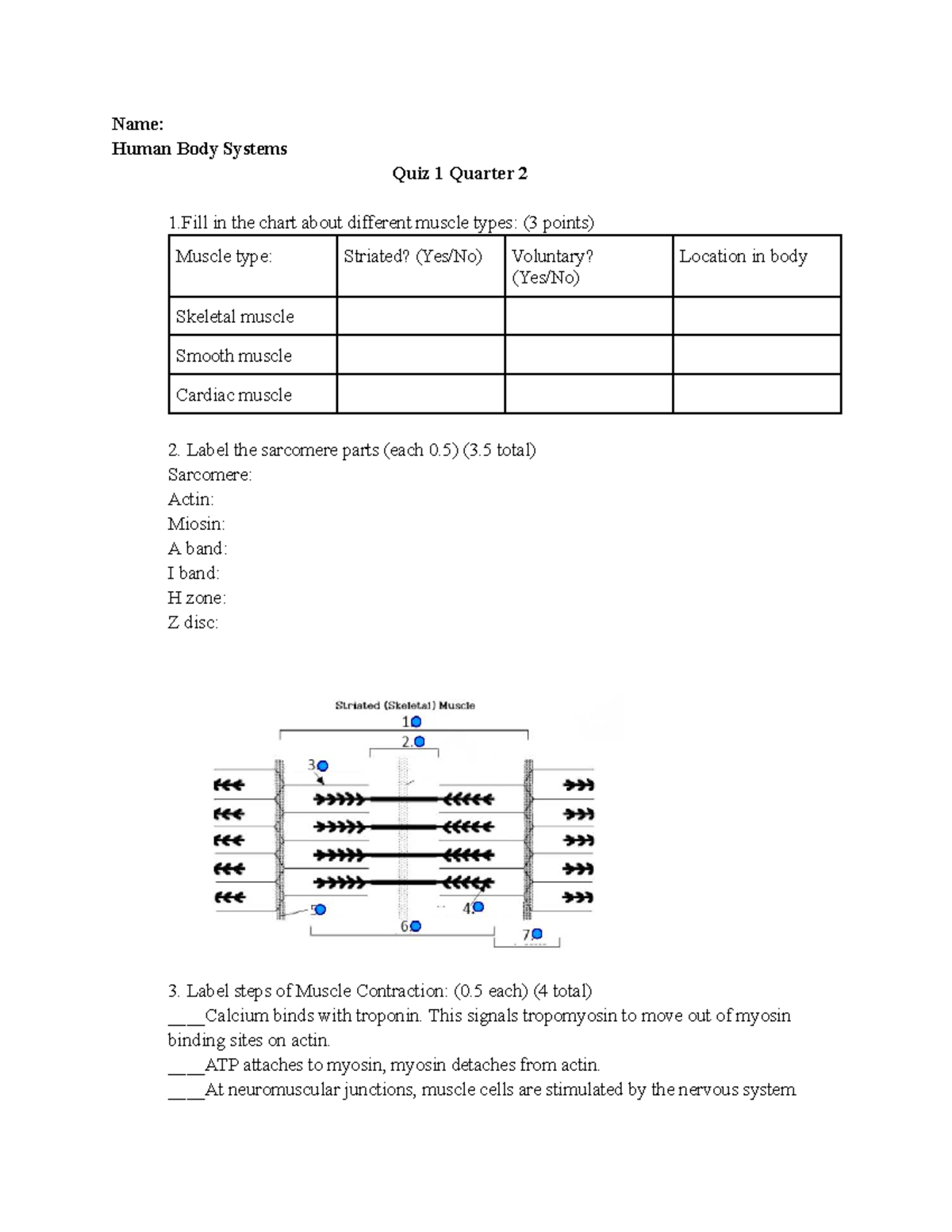 Human body systems quiz 1 Q2: Muscle types and contraction details ...