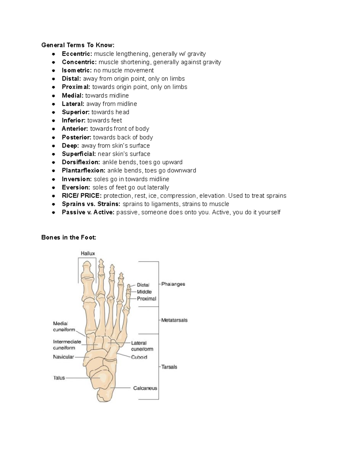 Sports Medicine: Ankle & Foot Study Notes for Exam - Studocu
