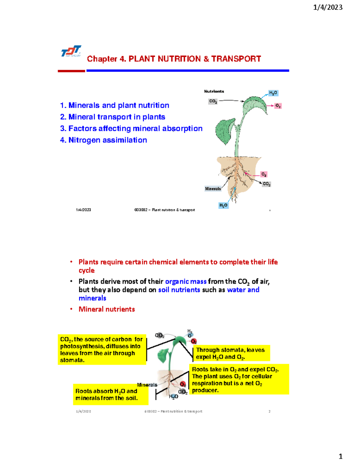 603082 Chapter 4: Plant Nutrition and Mineral Transport - Studocu