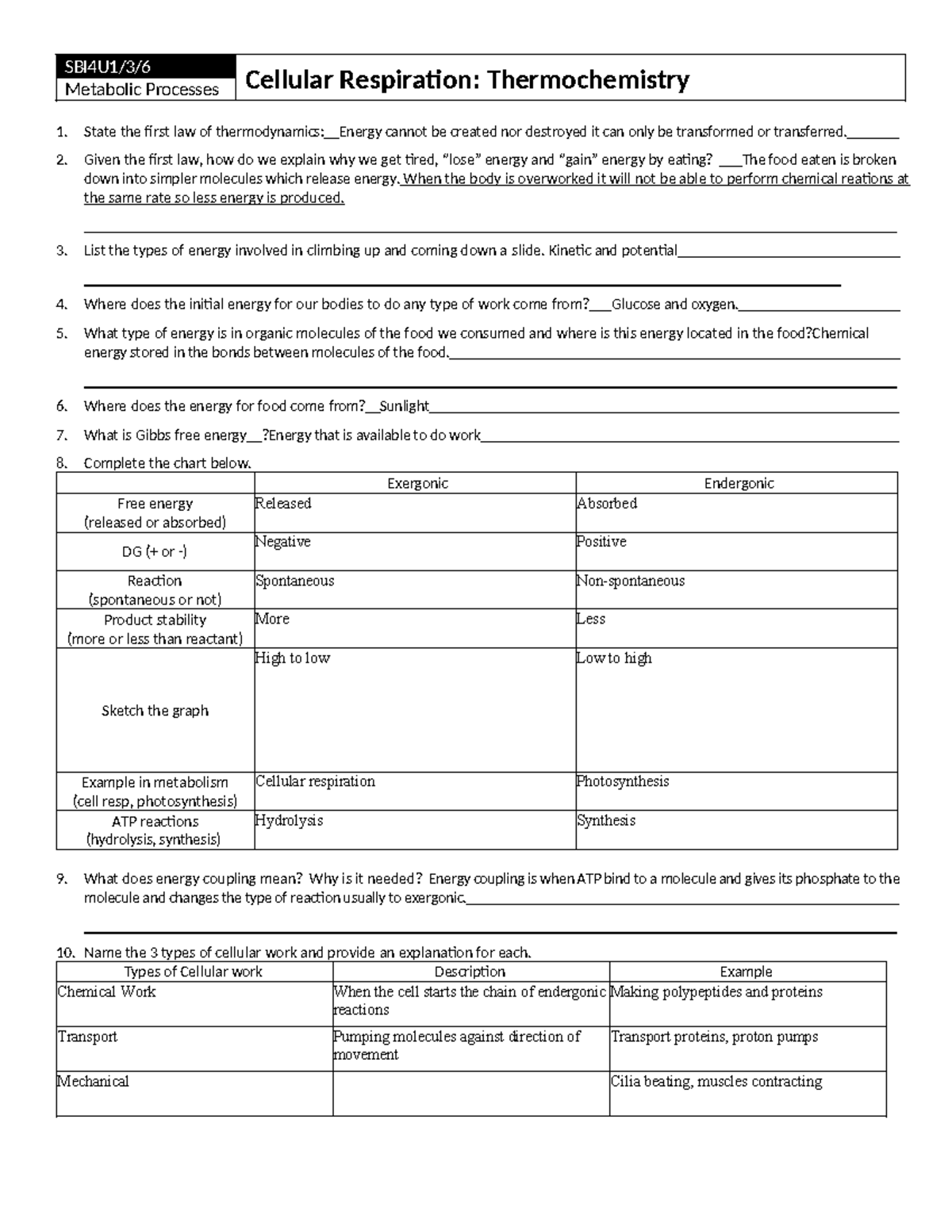 SBI4U1/3 Cellular Respiration & Thermochemistry Study Notes - Studocu