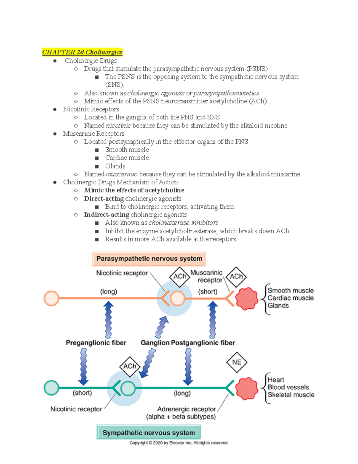 Pharm Final - Based on study guide - CHAPTER 20 Cholinergics ...
