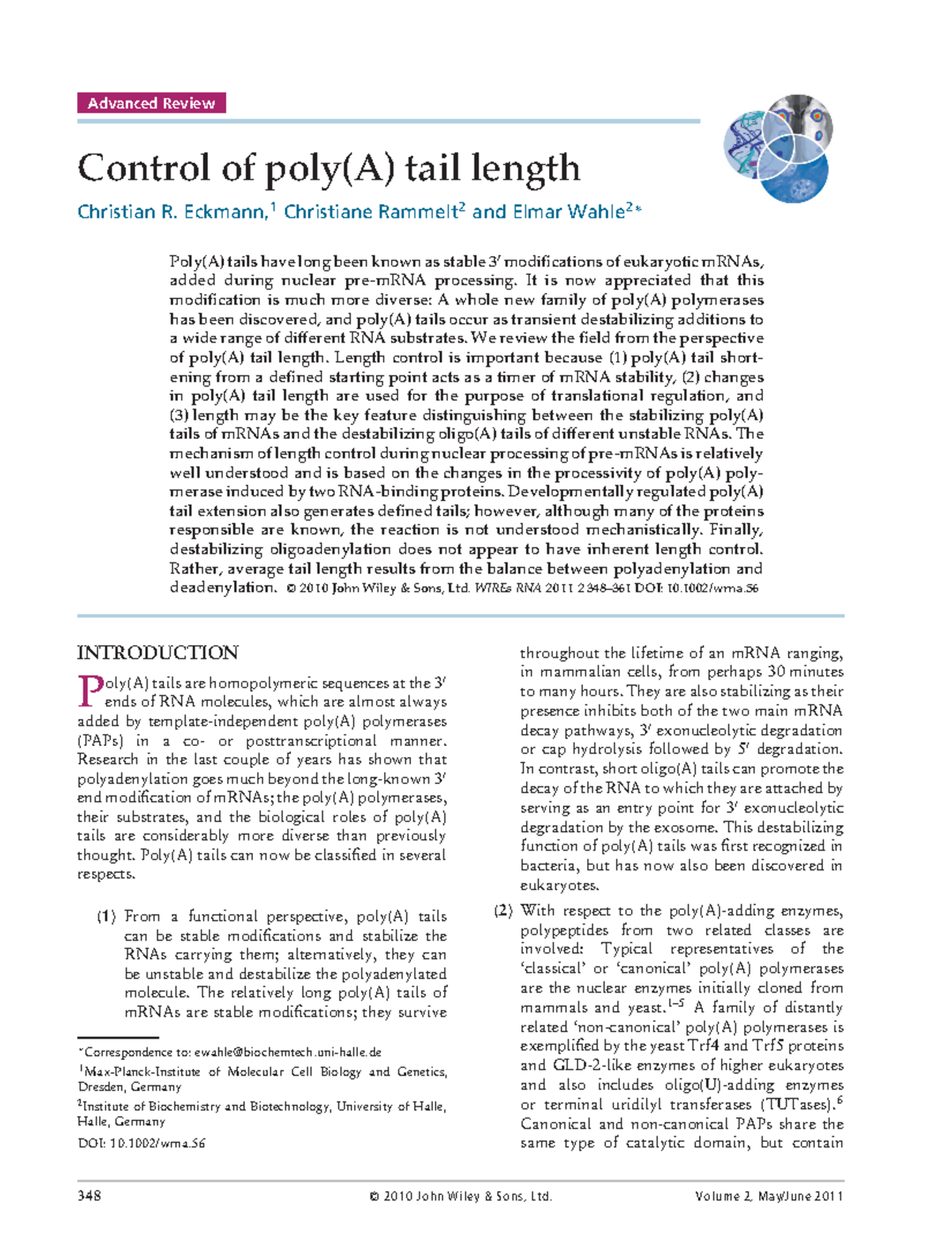 WIREs RNA - 2010 - Eckmann - Control of poly A tail length - Advanced ...