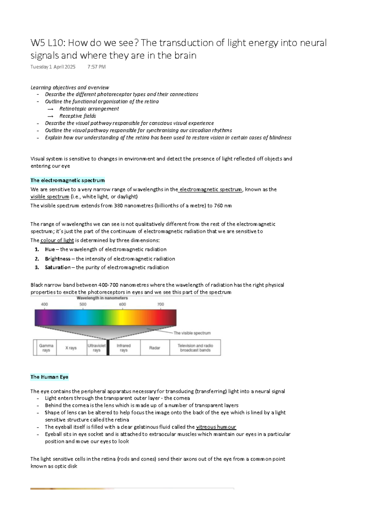 W5 L10: Understanding Light Transduction and Visual Pathways in the ...