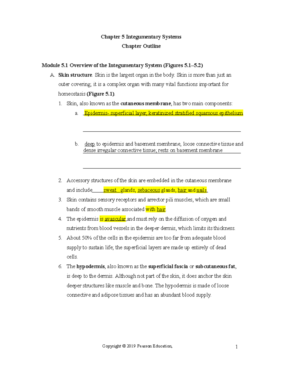 Chapter 5 Student lecture notes Integumentary System - Chapter 5 ...