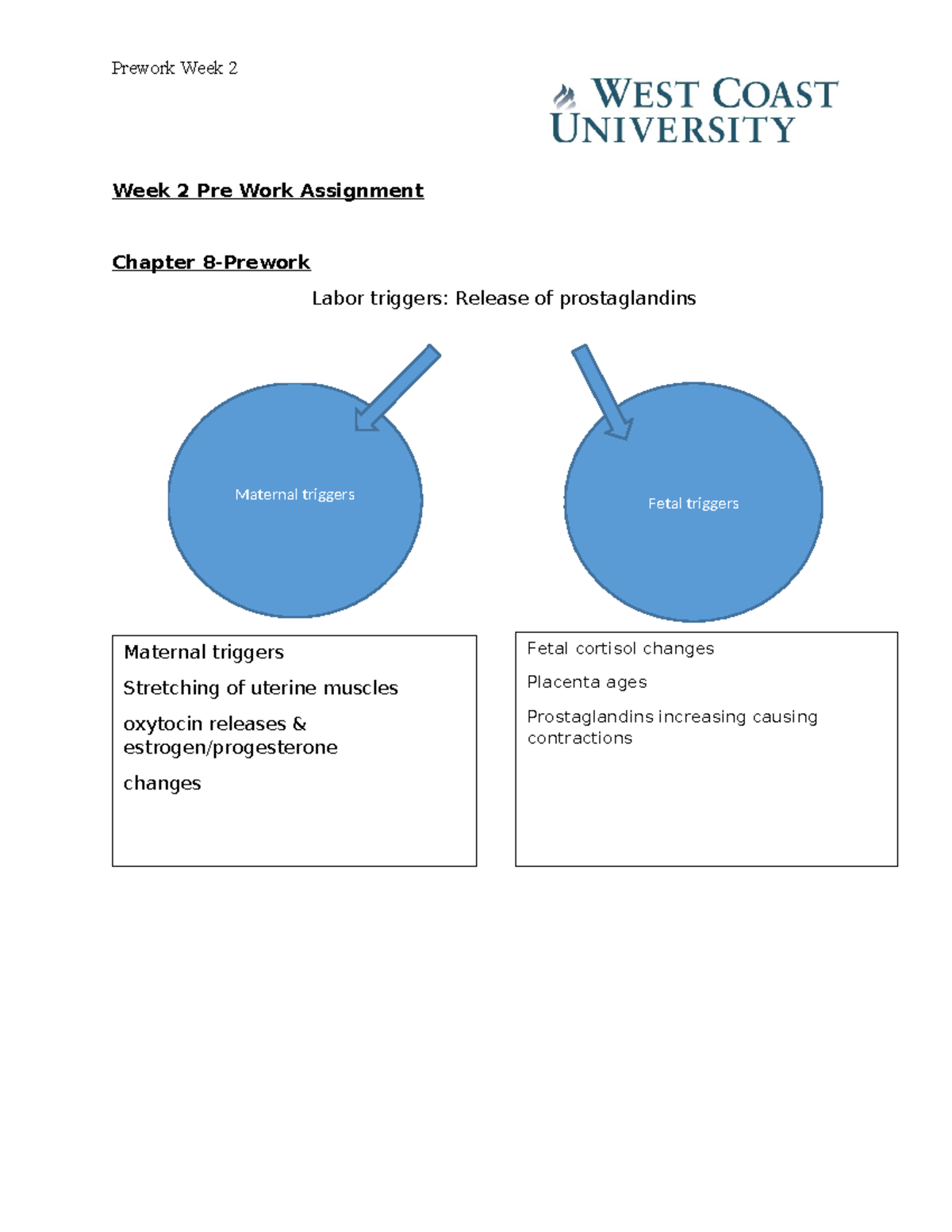 Week 2 Prework OB - Prework Week 2 Week 2 Pre Work Assignment Chapter 8 ...