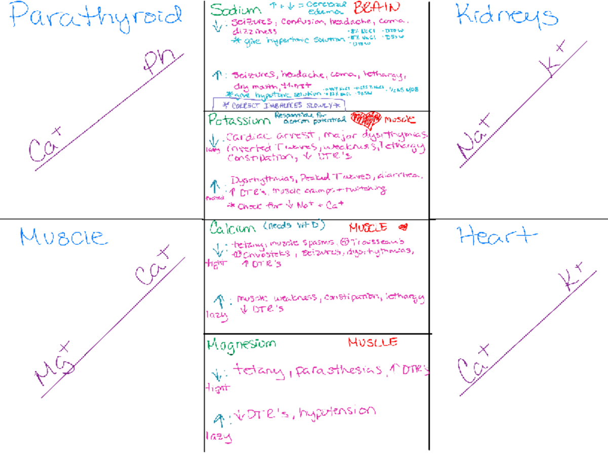 Electrolyte Chart Notes: Imbalances and Clinical Manifestations - Studocu