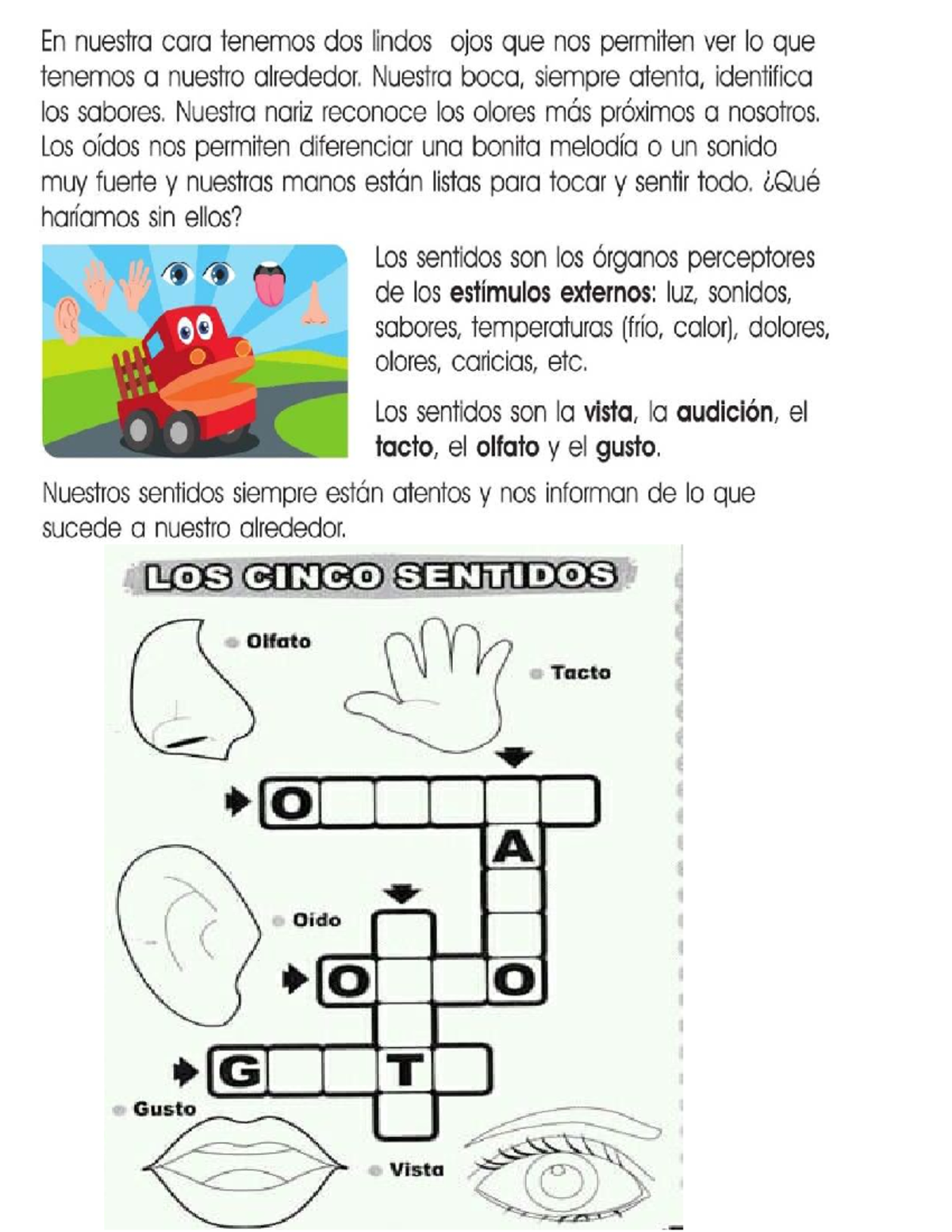 Ficha de los 5 Sentidos: Explorando la Percepción Humana - Studocu