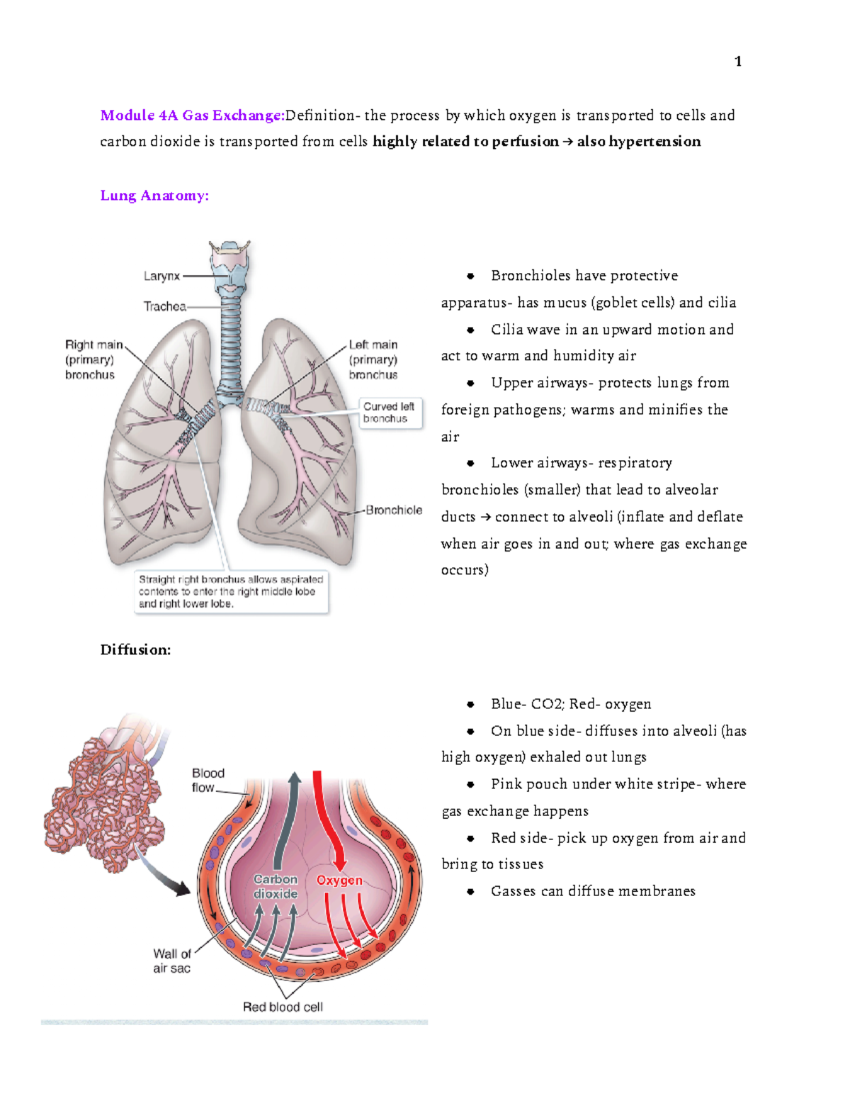 Pathophysiology and Management of COPD - Module 4B Notes - Module 4A ...