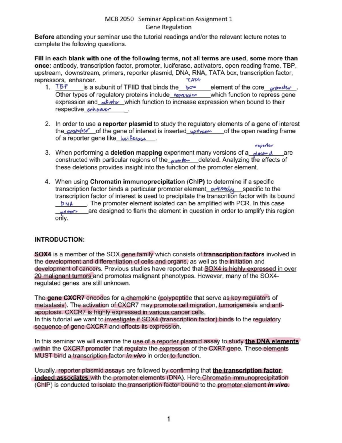 MCB 2050 Seminar Assignment 1: Gene Regulation and SOX4 Effects - Studocu