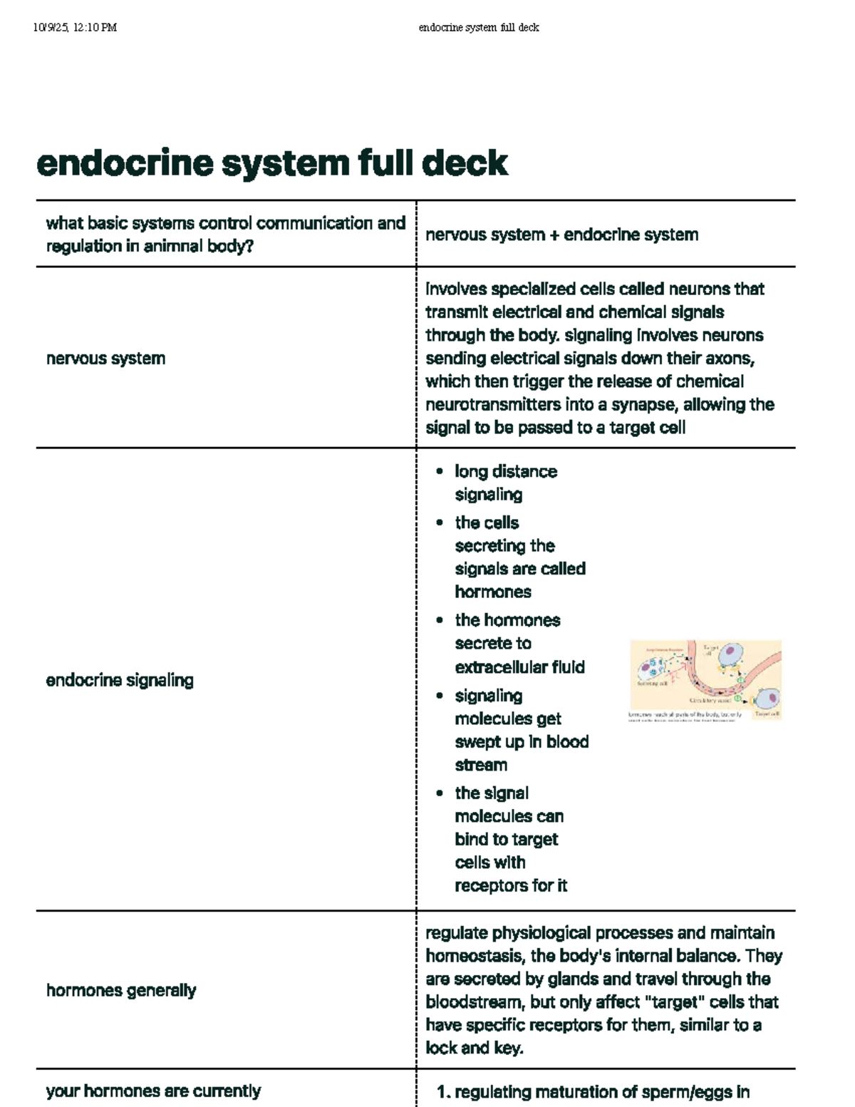 Endocrine system full deck - GEN 100 - Studocu