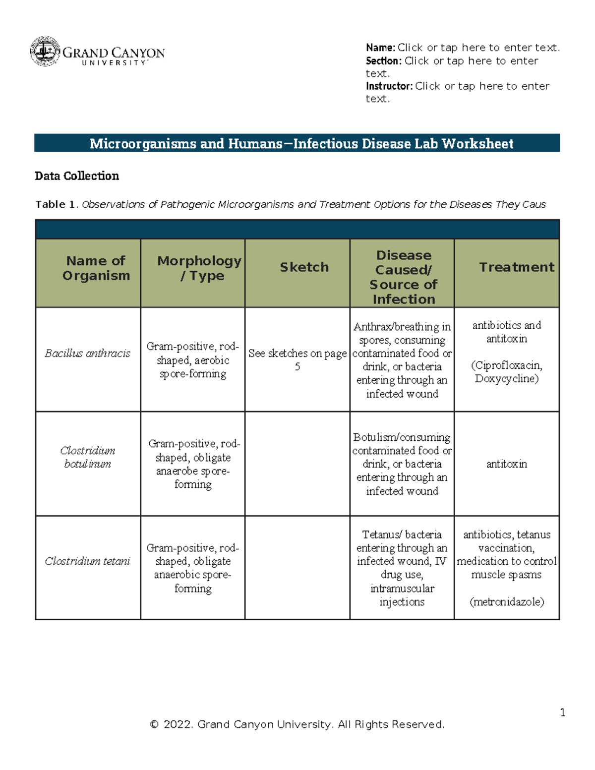 BIO 205L WS Microorganisms in Human Infectious Diseases Lab Worksheet ...
