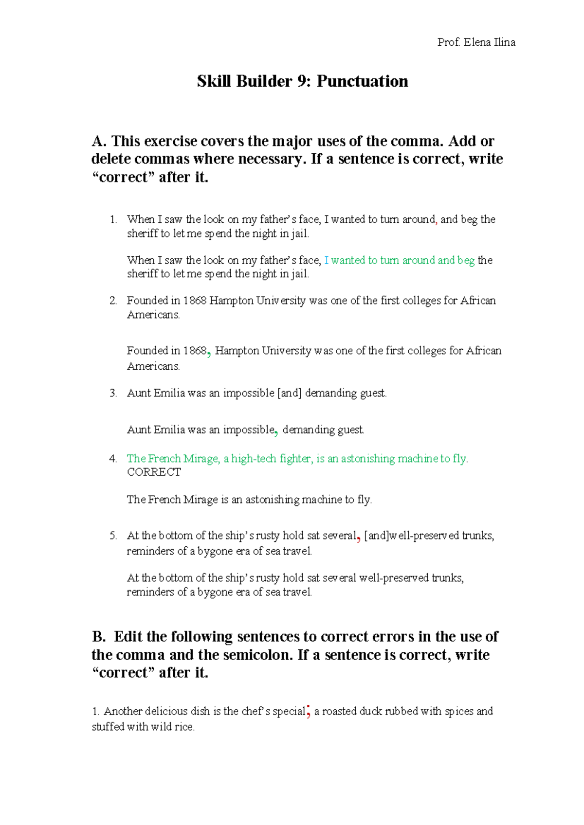 Skill Builder 9: Punctuation Exercises with Prof. Elena Ilina - Studocu