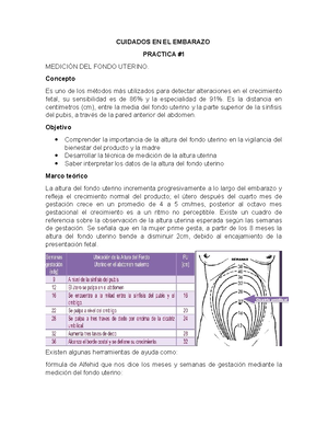 Galactogénesis y galactopoyesis - Galactogénesis y galactopoyesis ...