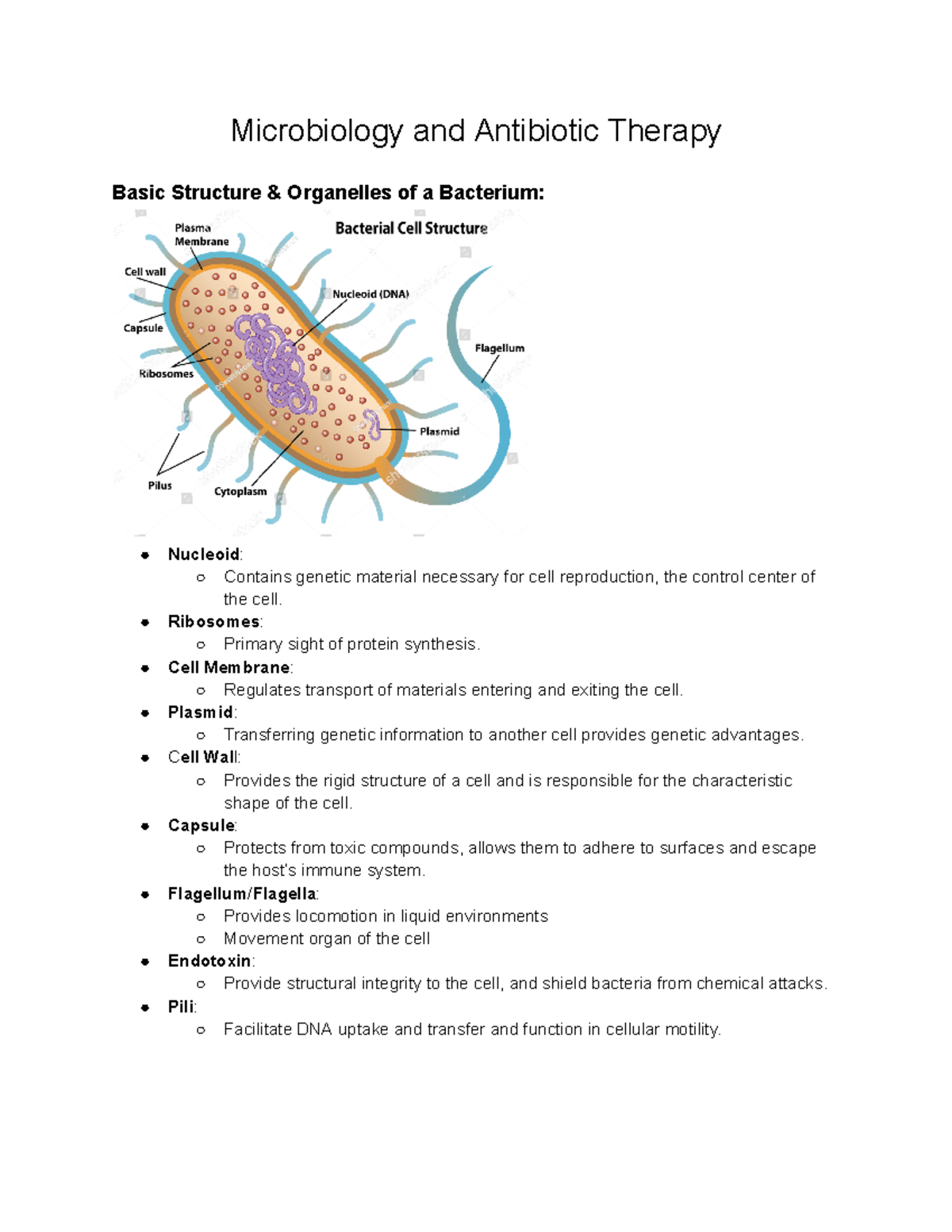 Microbiology & Antibiotic Therapy Overview - MI - Studocu