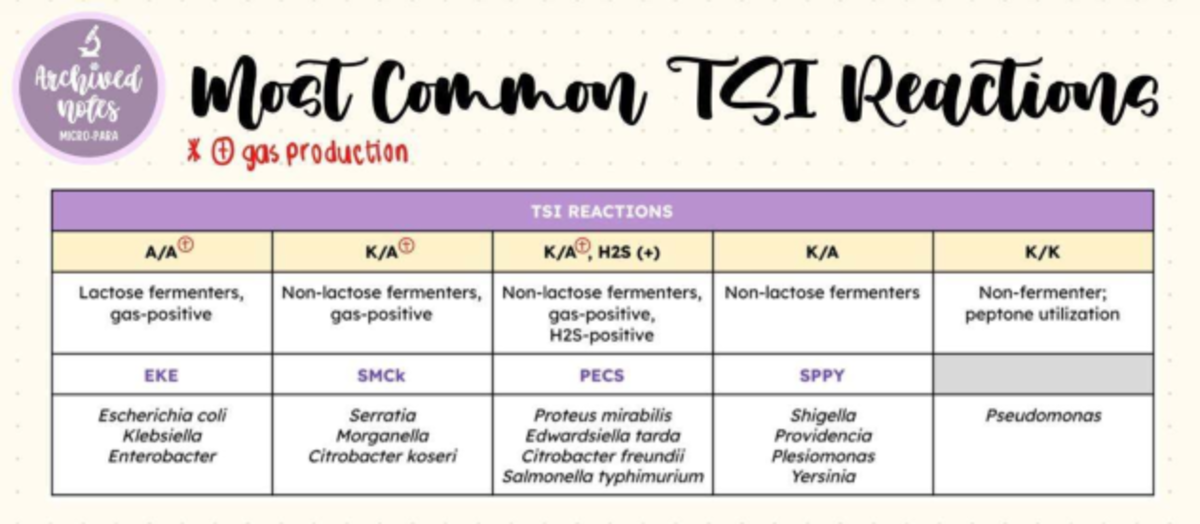 [ Bacte] TSI Reactions - Nursing - 5 Archived notes Most Common TSI ...