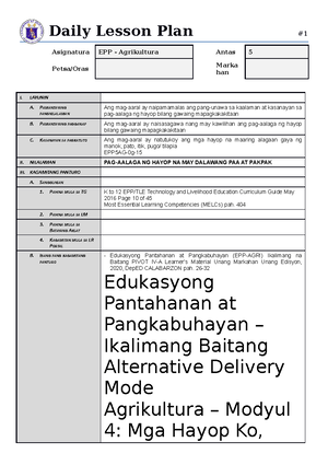 Technical and Operational Lesson Plan - Detailed Lesson Plan English 10 ...