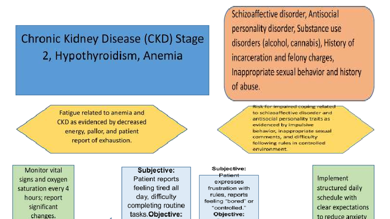 Concept Map: Schizoaffective & Antisocial Disorders in CKD Management ...