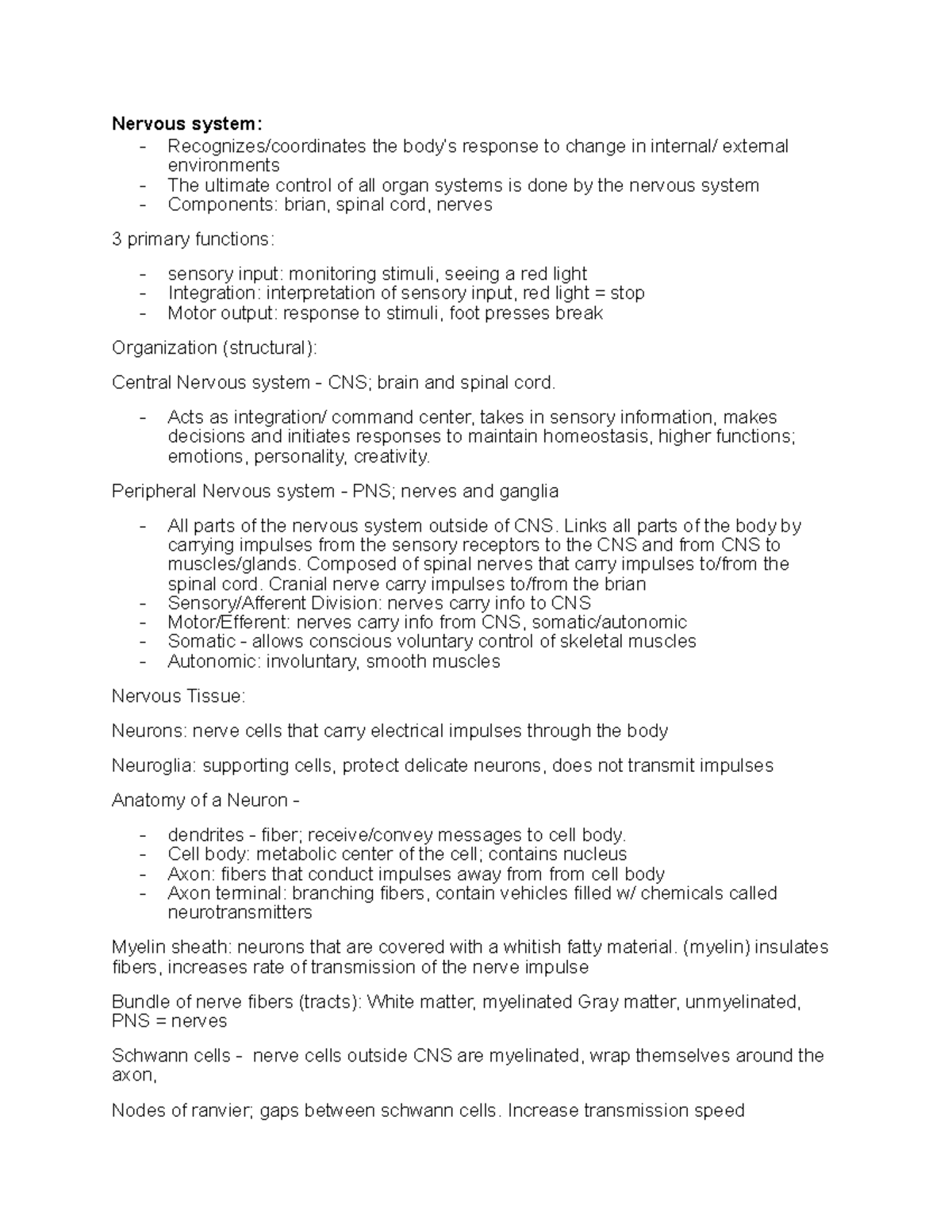 Nervous System Overview: Structure, Functions, and Physiology Notes ...