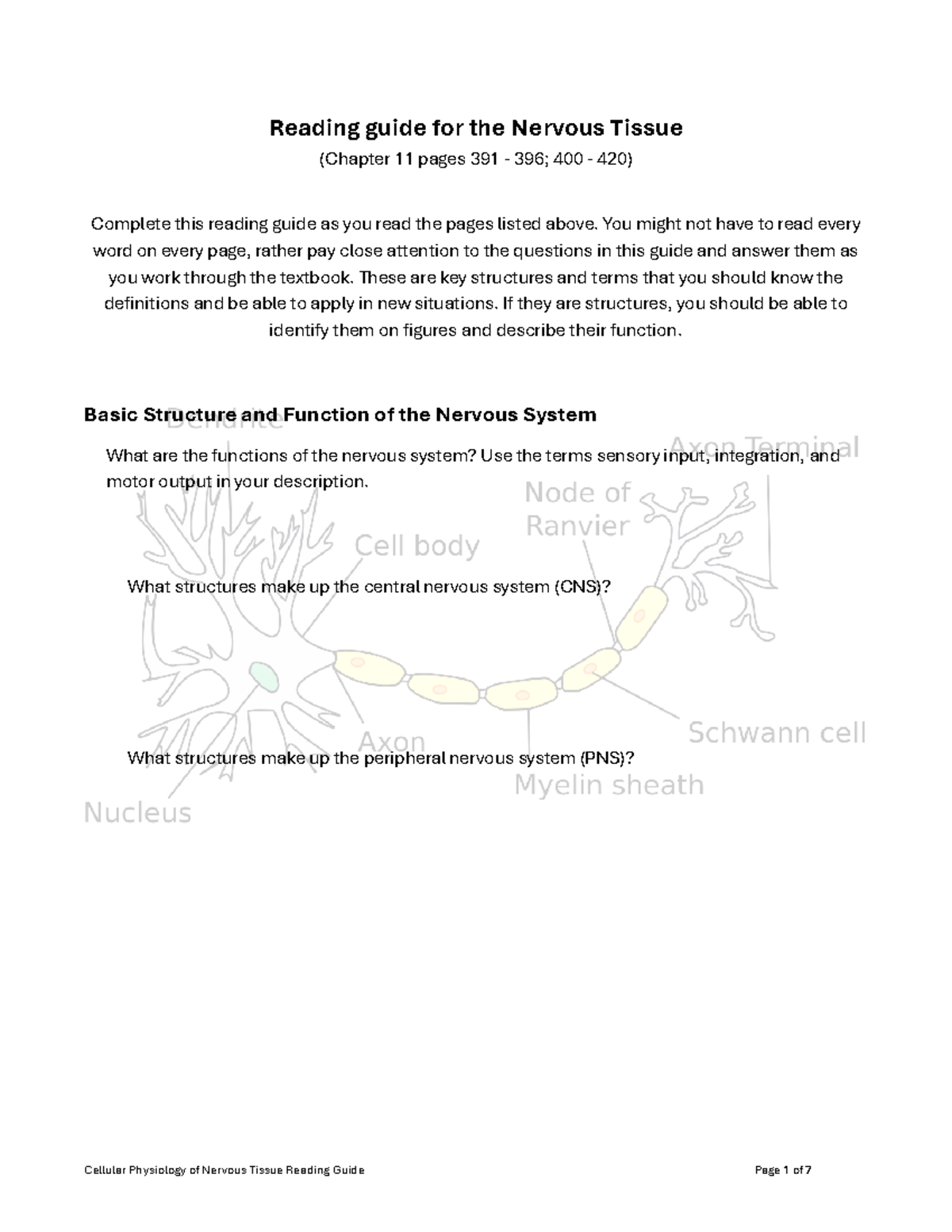 Nervous Tissue Reading Guide (Chapter 11, Pages 391-400, 420) - Studocu