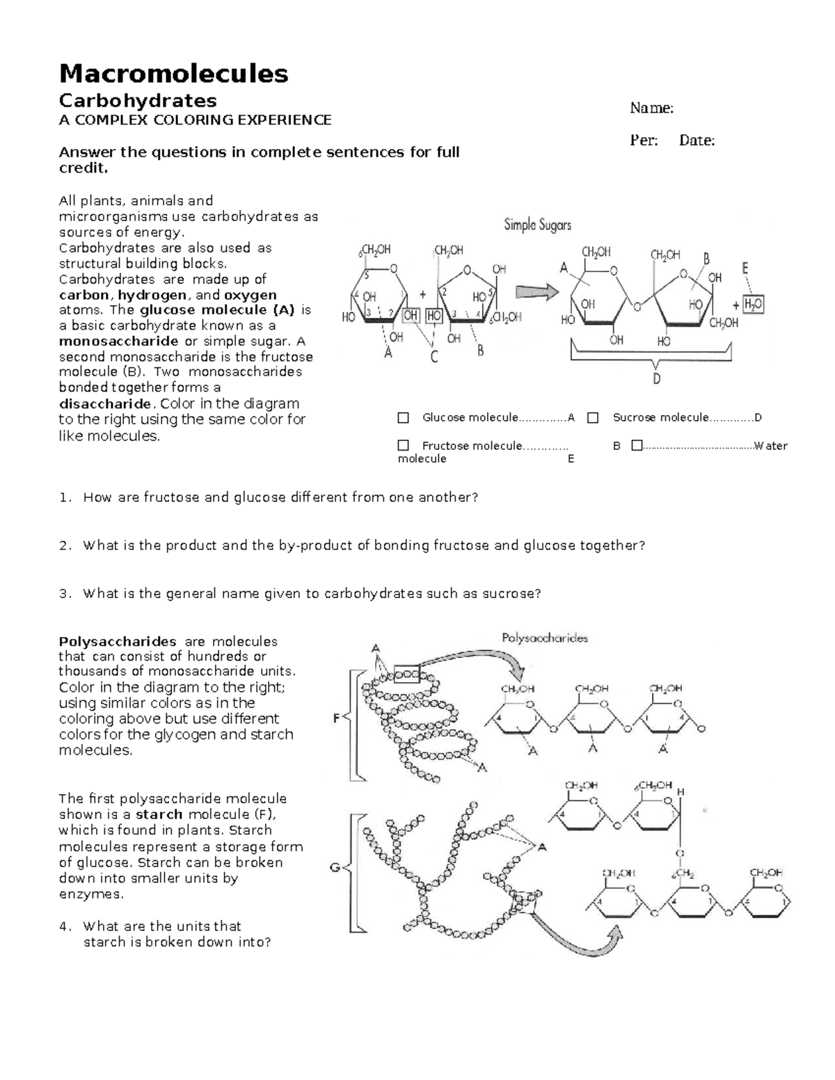 Macromolecules Coloring Activity: Carbohydrates, Proteins, Lipids ...