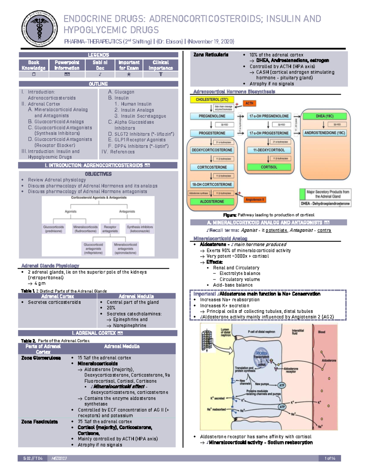 Pharma: Endocrine Drugs - S 02 // T 04 MED2023 1 of 14 LEGENDS Book ...
