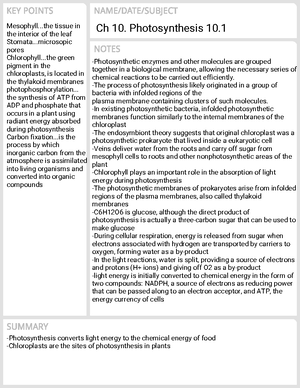 APA Format Templete - jljjj - BIOL 352 - Your Title Here Your Name ...