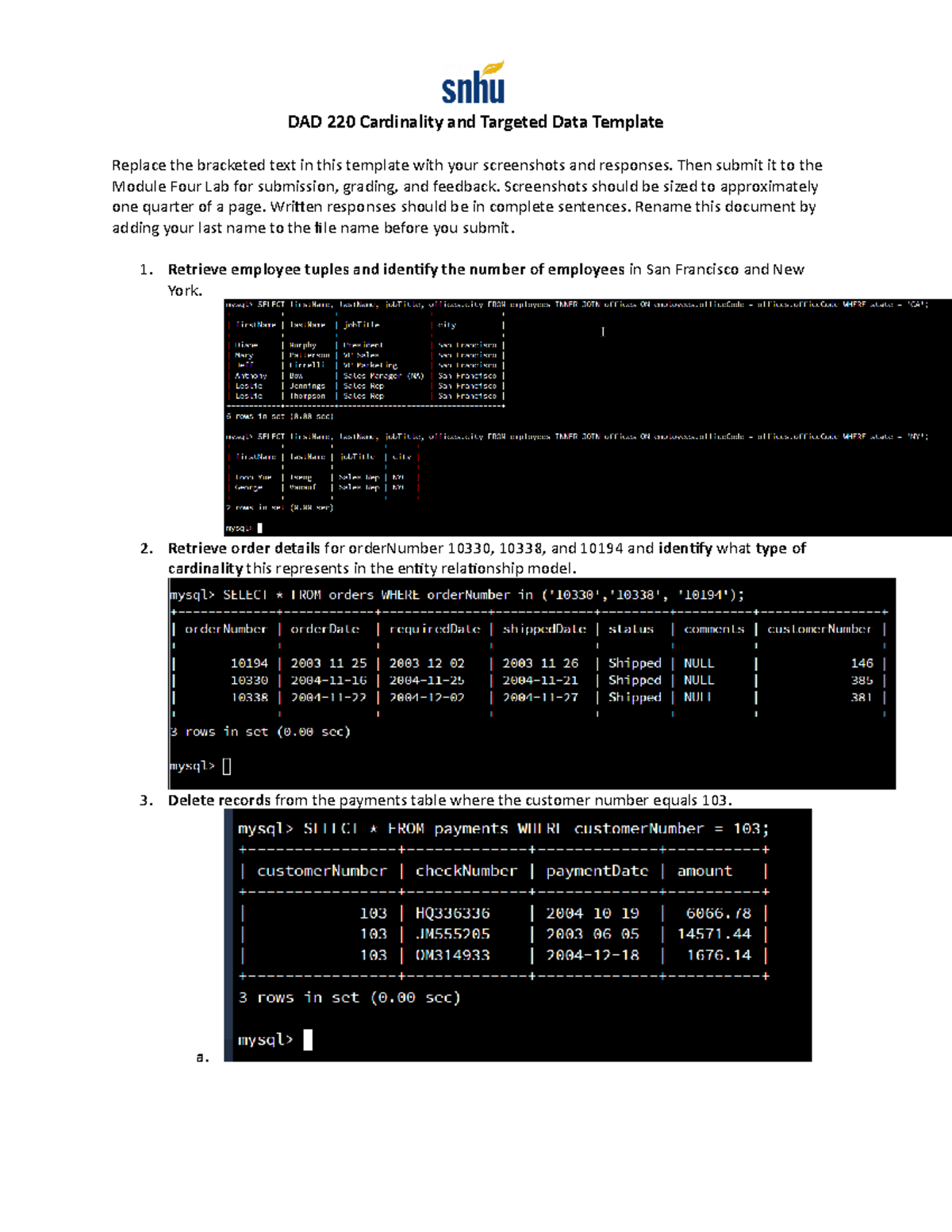 DAD 220 Lab 4-2: Cardinality & Targeted Data Template Guidelines - Studocu