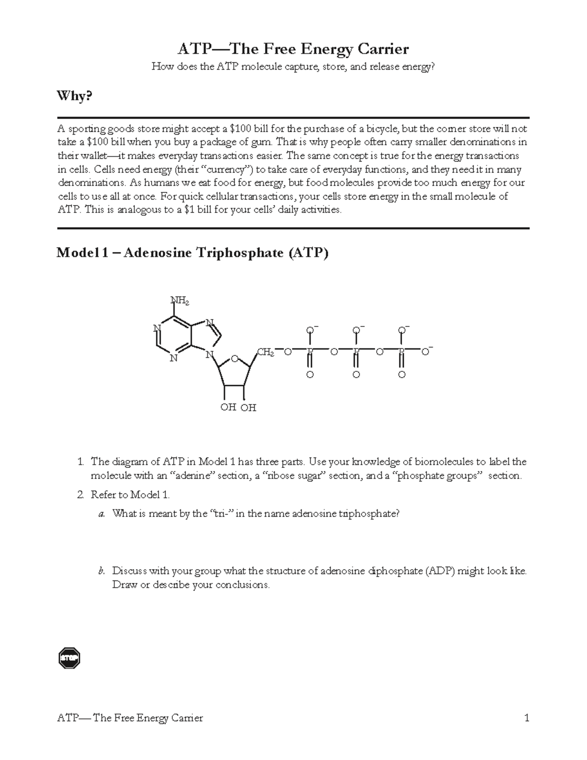 ATP: The Free Energy Carrier - How ATP Captures, Stores, and Releases ...