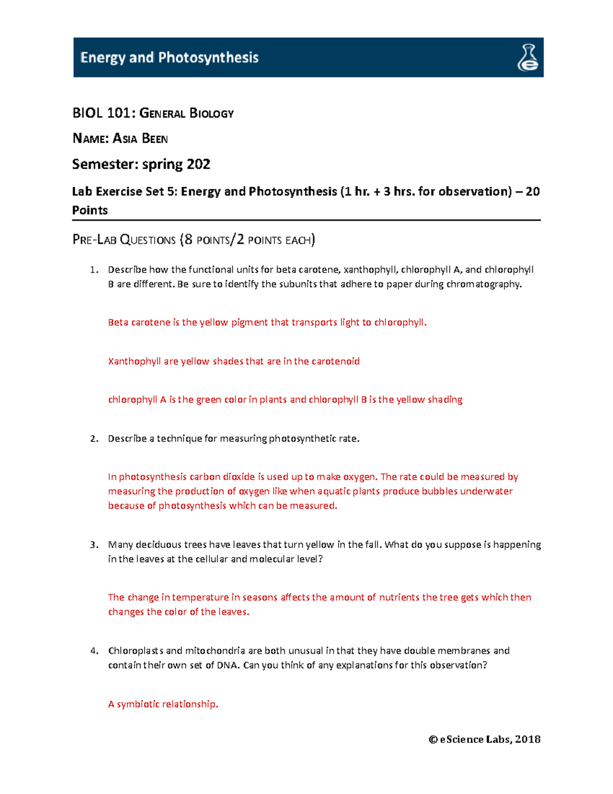 Module 6 Energy and Photosynthesis - BIOL 101: GENERAL BIOLOGY NAME ...
