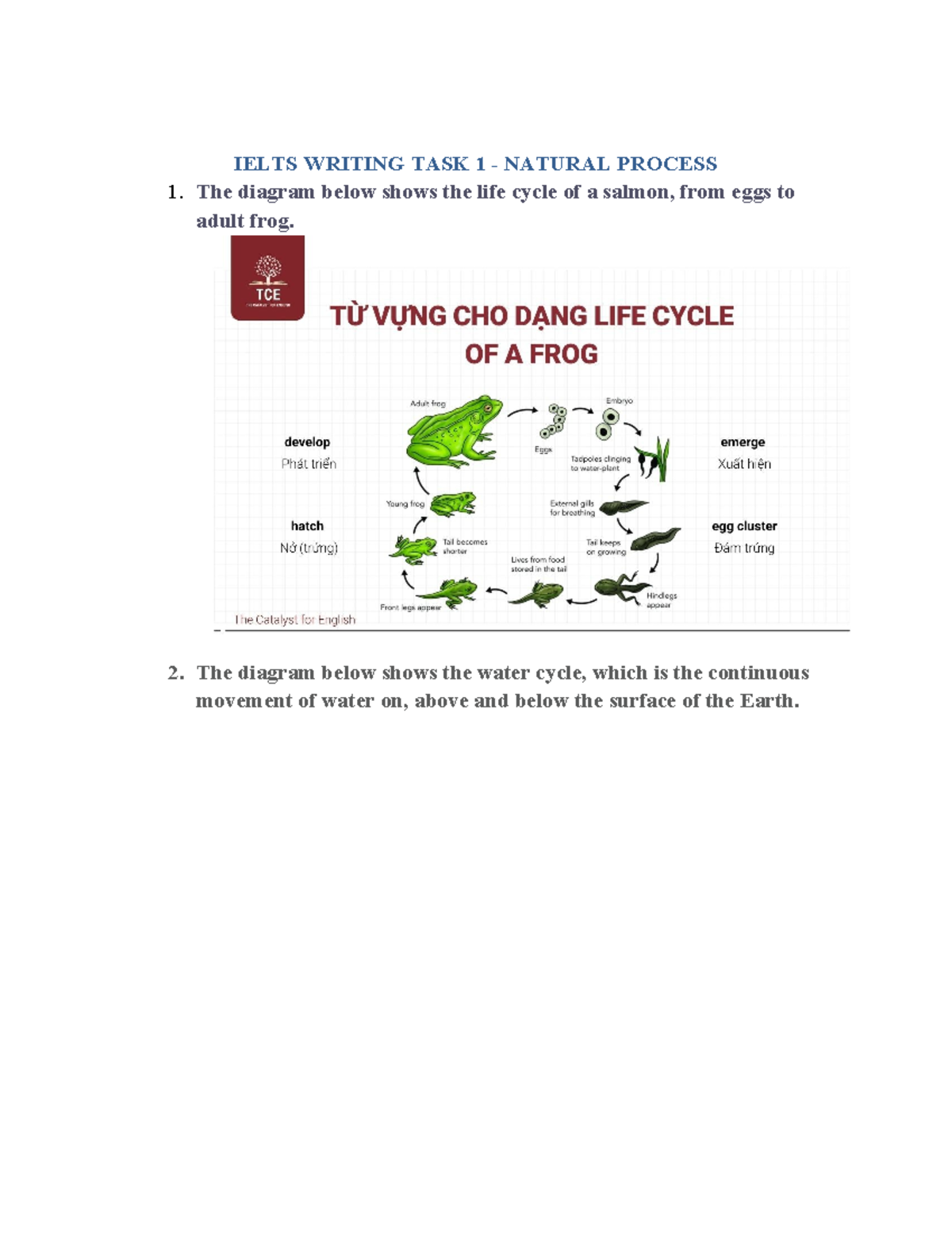 IELTS Writing Task 1: Natural Processes Overview - Studocu