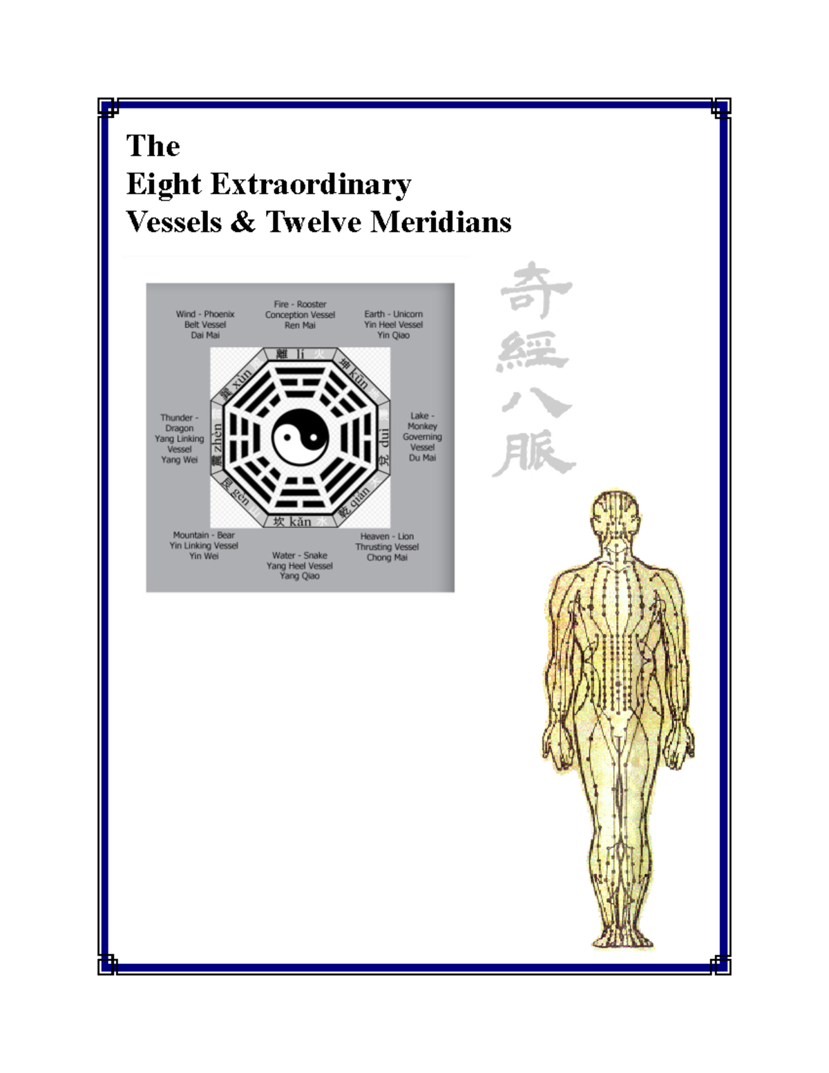 "TCM 101: Understanding the 12 Meridians & 8 Extraordinary Vessels ...