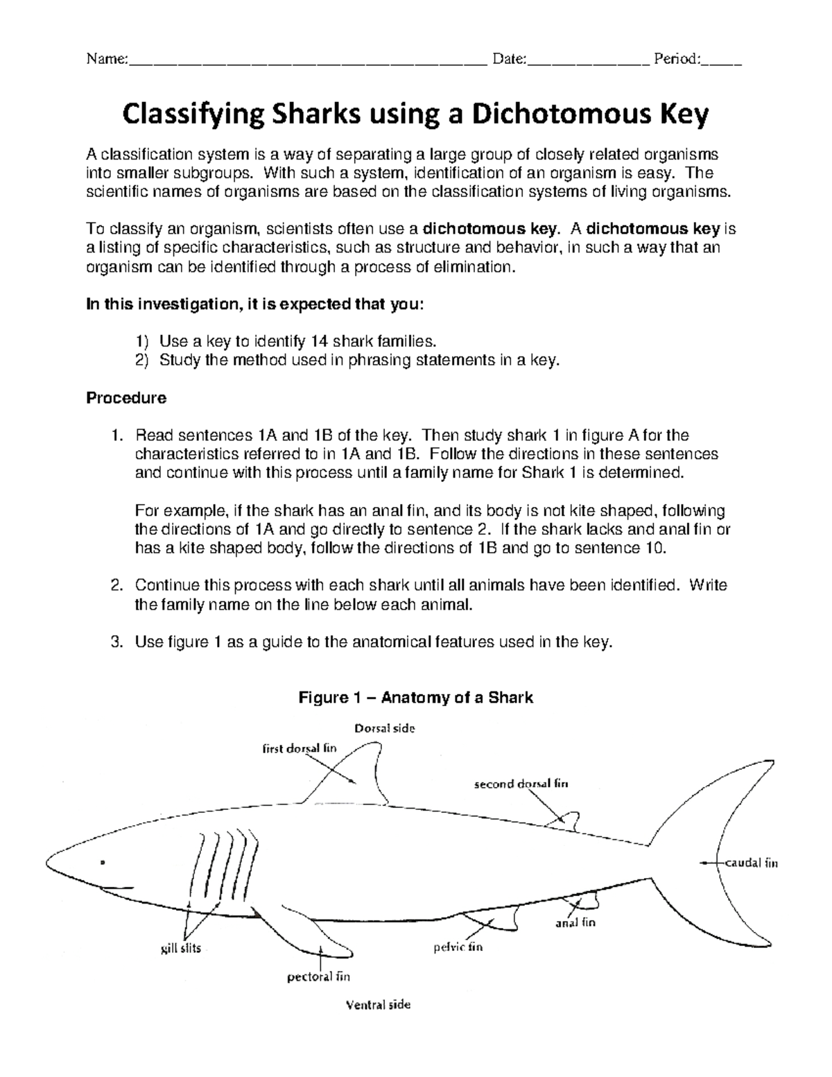 Dkey prac packet - dichotomous key practice - Name