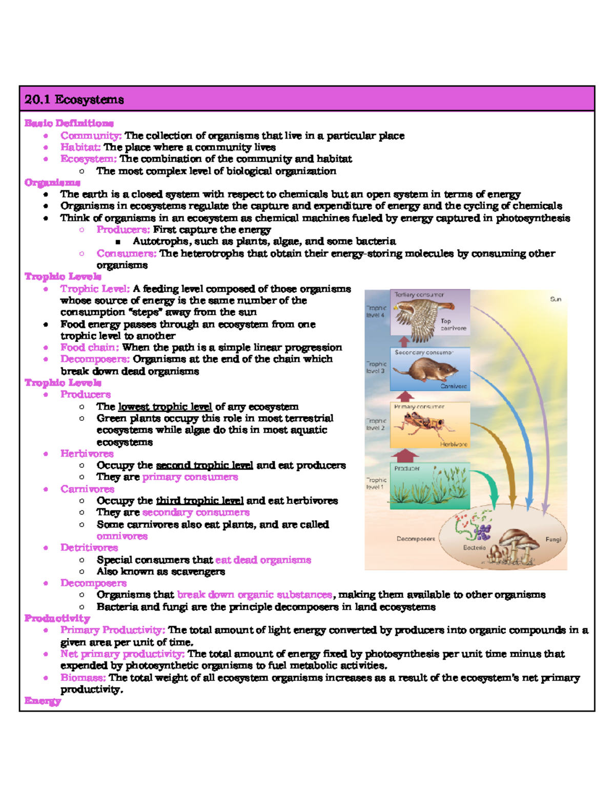 BIOL 100 Chapter 20 Notes - Understanding Ecosystems and Their Roles ...