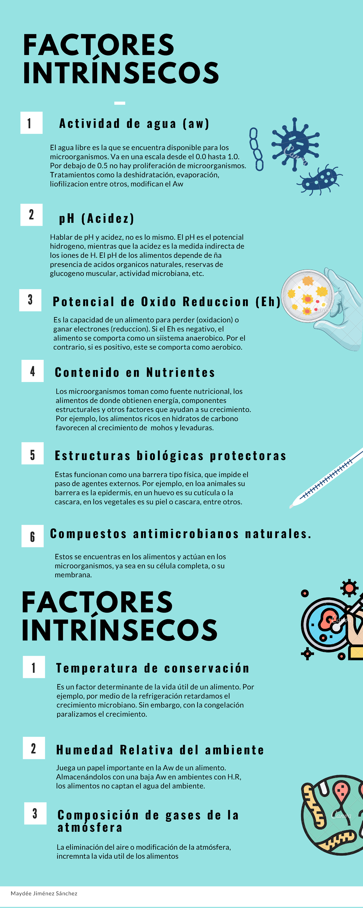 Factores extrinsecos e intrinsecos que afectan un alimento - Maydée Jiménez Sánchez FACTORES ...