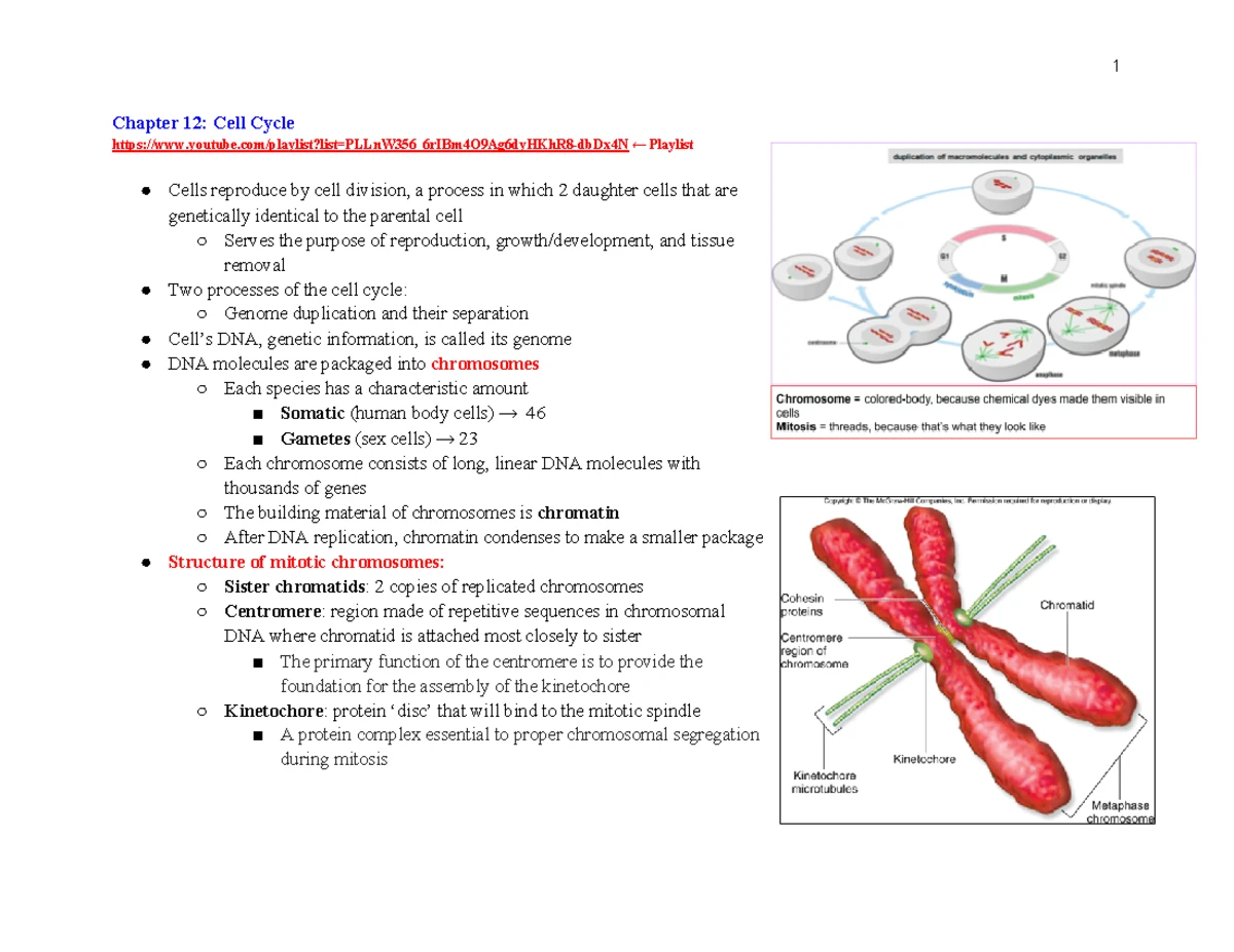 BIO 202 Exam 2 Study Notes: Cell Communication & Signaling - Studocu