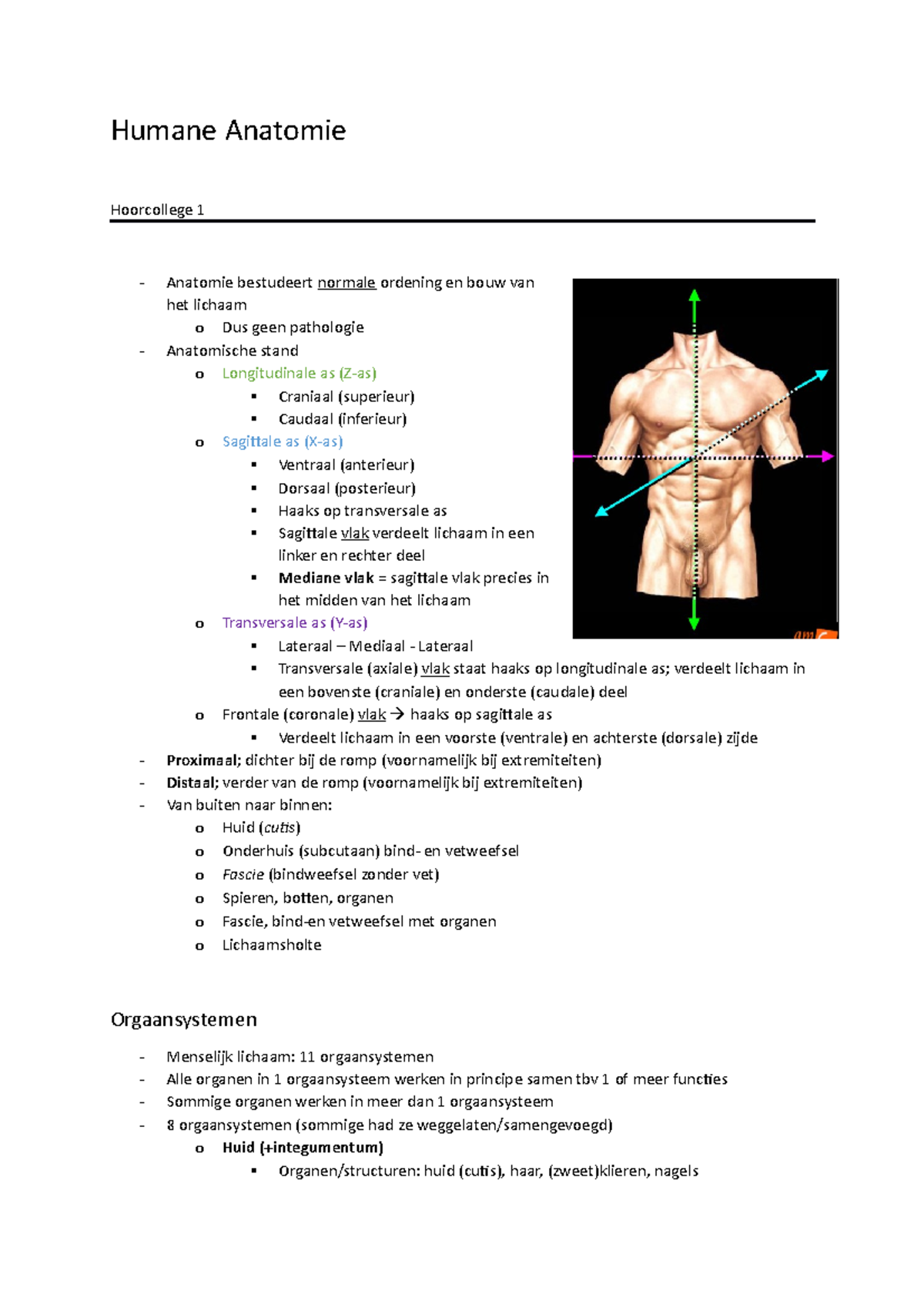 Humane Anatomie Aantekeningen Hoorcolleges 1-3 - Studeersnel
