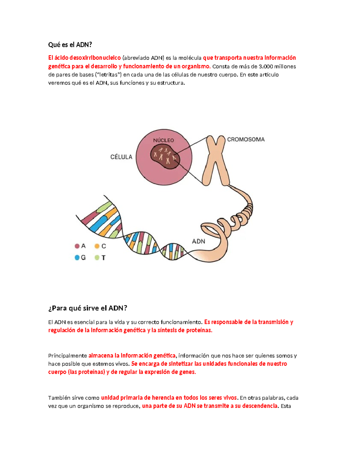 Qué es el ADN - el ADN - Qué es el ADN? El ácido desoxirribonucleico ...