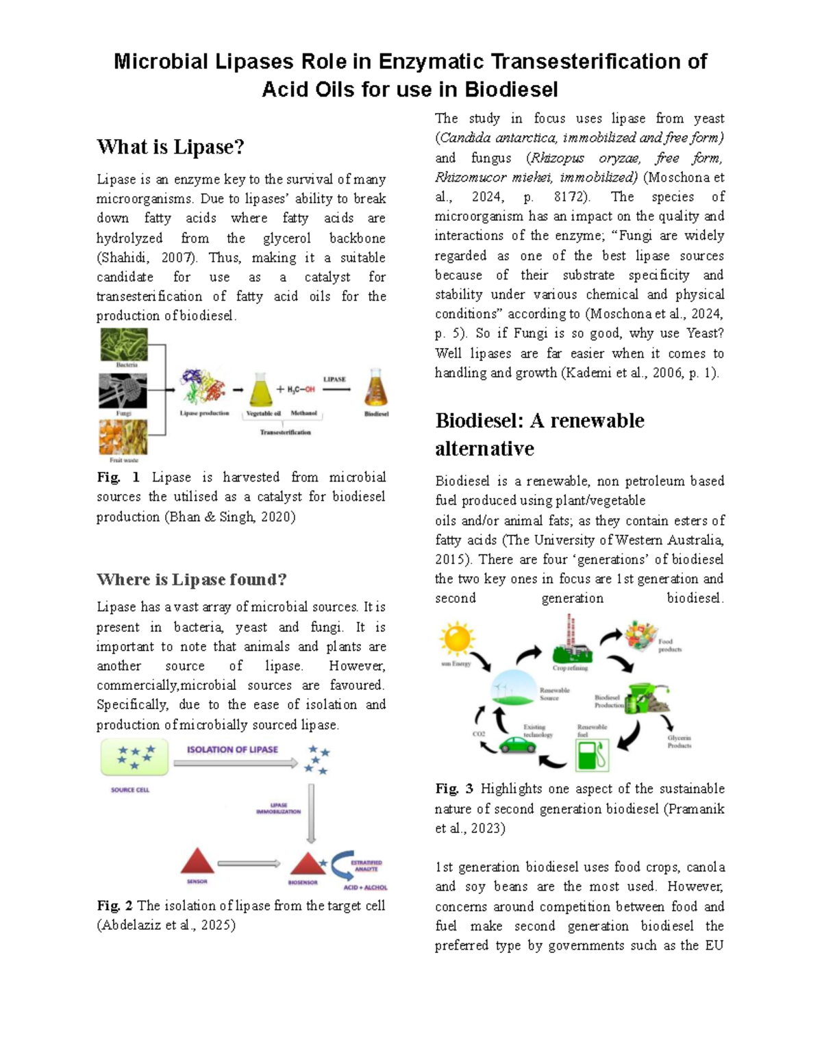 Microbial Lipases in Enzymatic Transesterification for Biodiesel ...