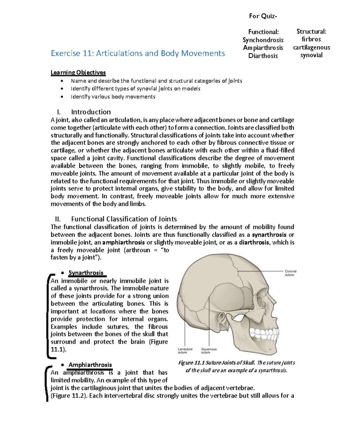 Exercise 11-3: Lab Guide on Articulations and Body Movements - Studocu