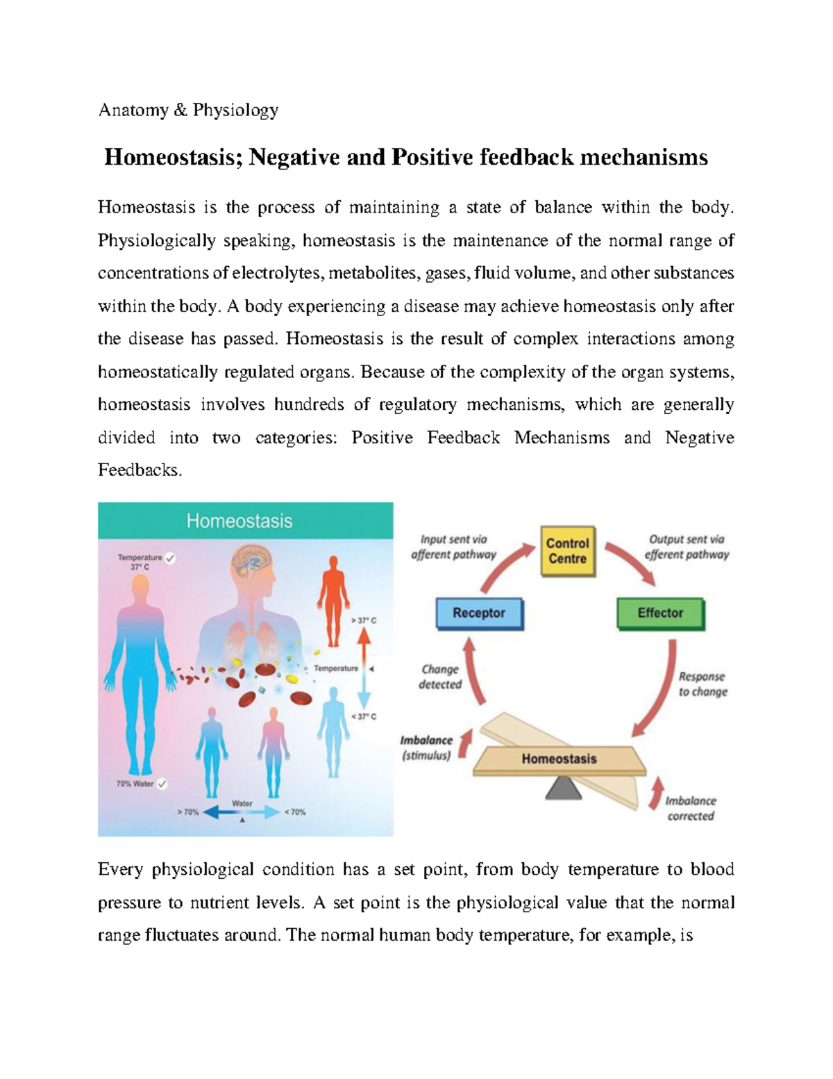Homeostasis Mechanisms in Anatomy & Physiology: Feedback Loops ...