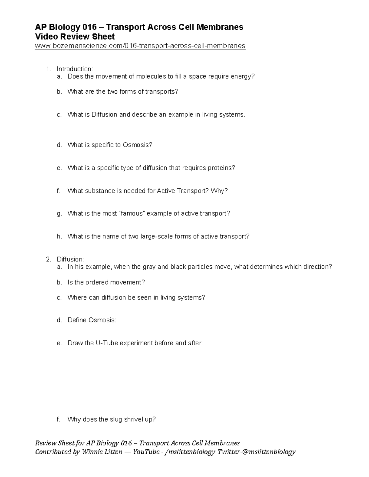 Ap bio-016 transport across cell membranes worksheet-wl 2-1 - Review ...
