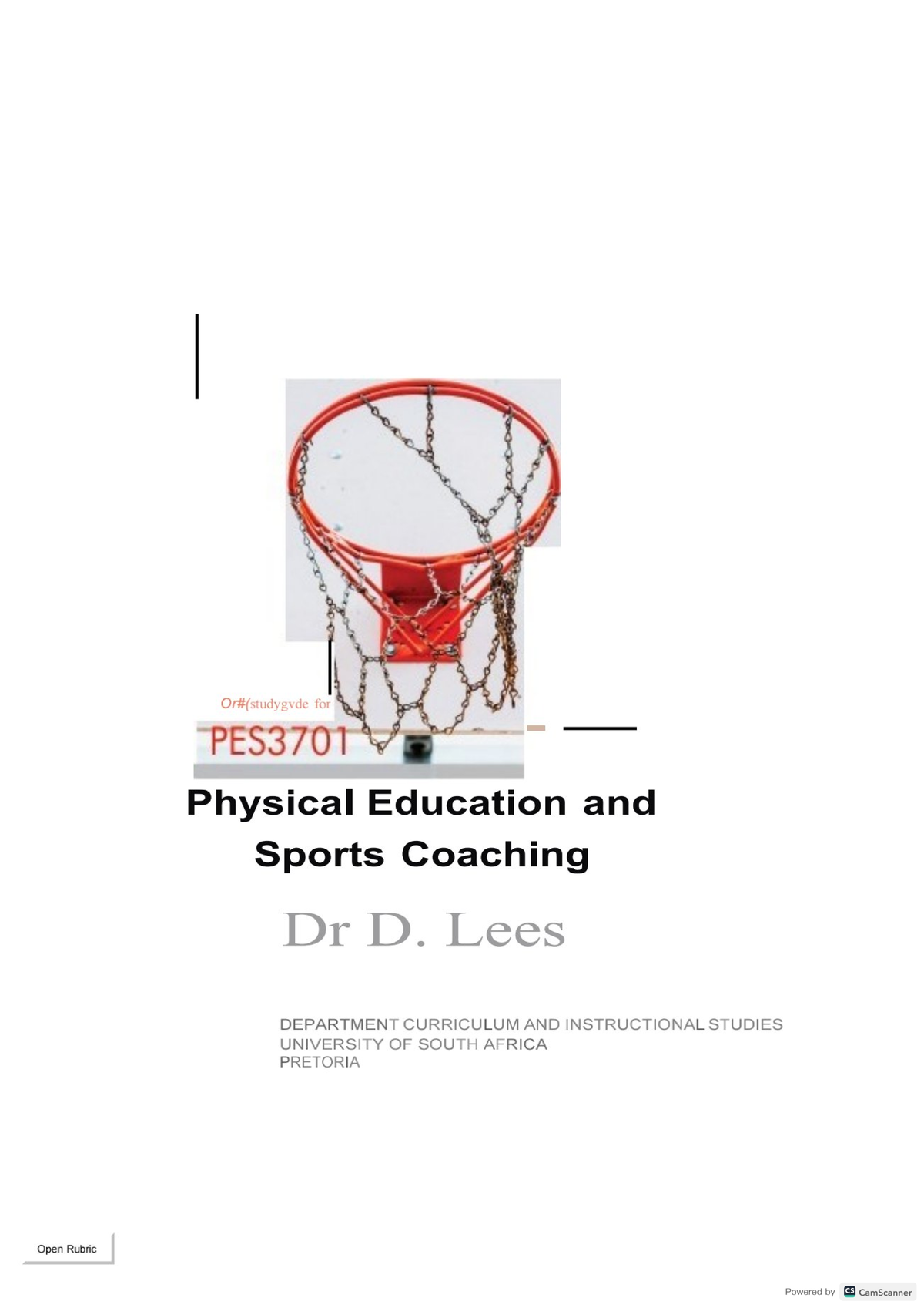 PES3701 - Comprehensive Study Guide for Course Success - Studocu