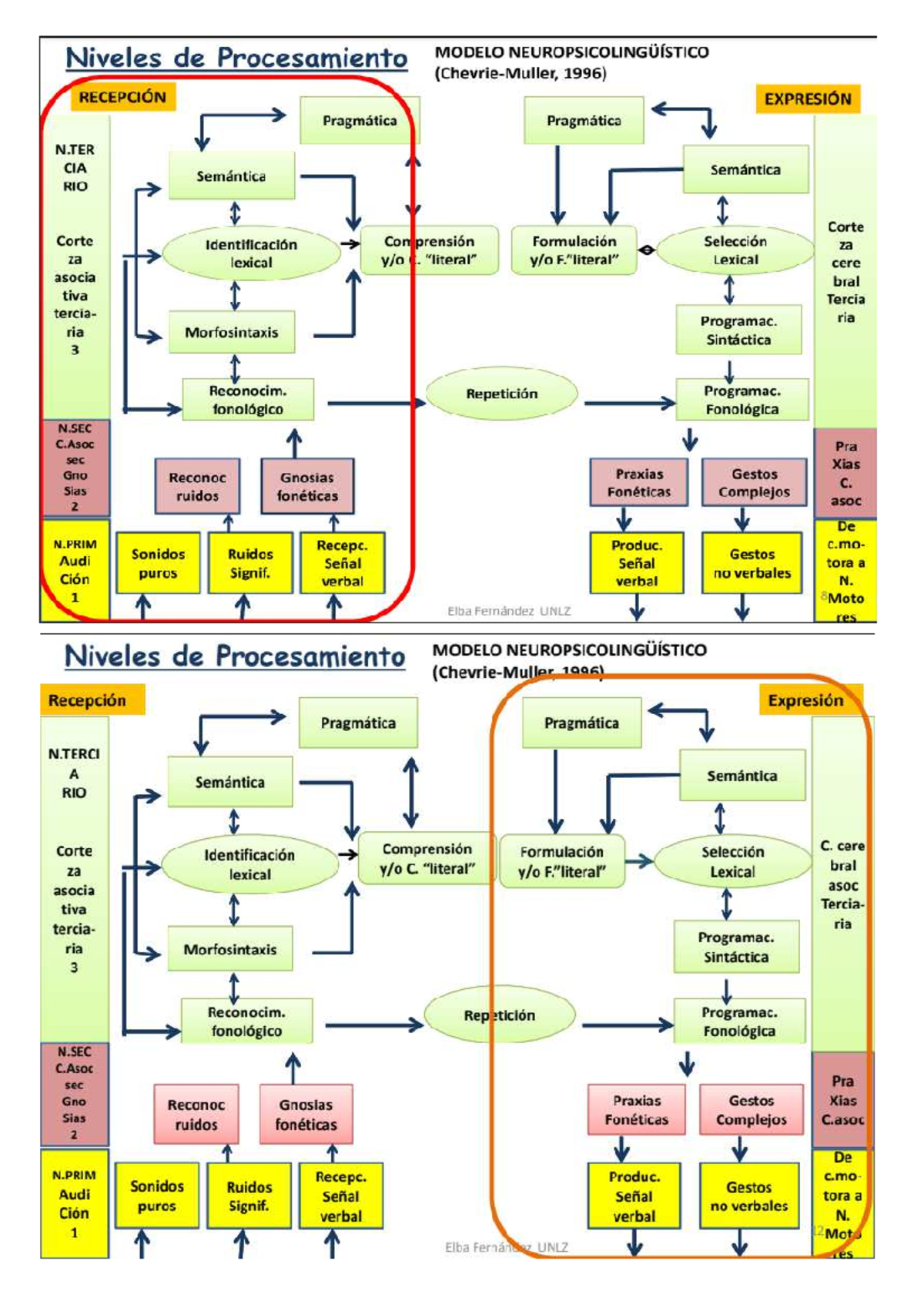 Neuropsicolinguistic Model: Chevrie-Muller Overview and Insights - Studocu