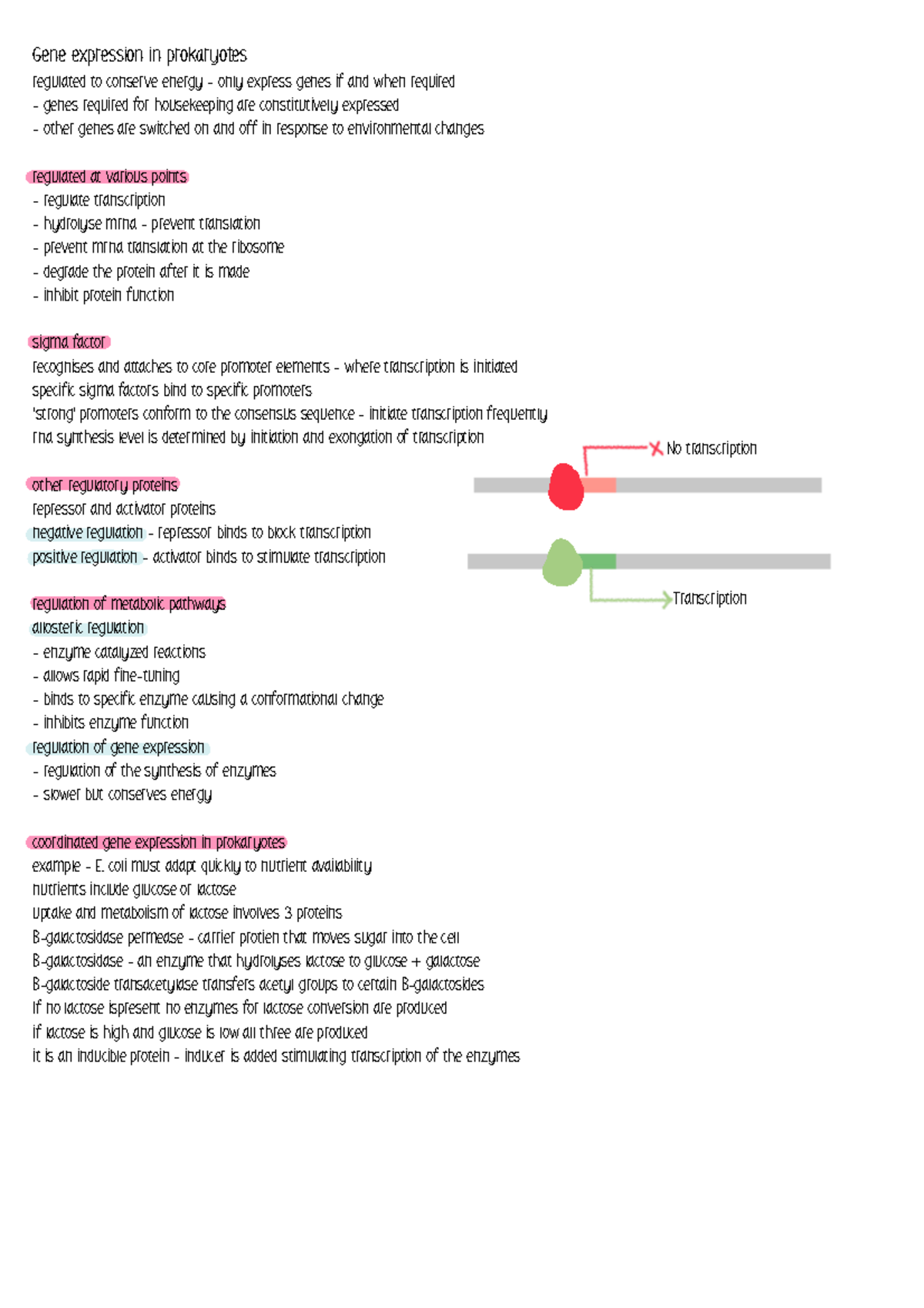 Signal transduction - notes - Gene expression in prokaryotes regulated ...
