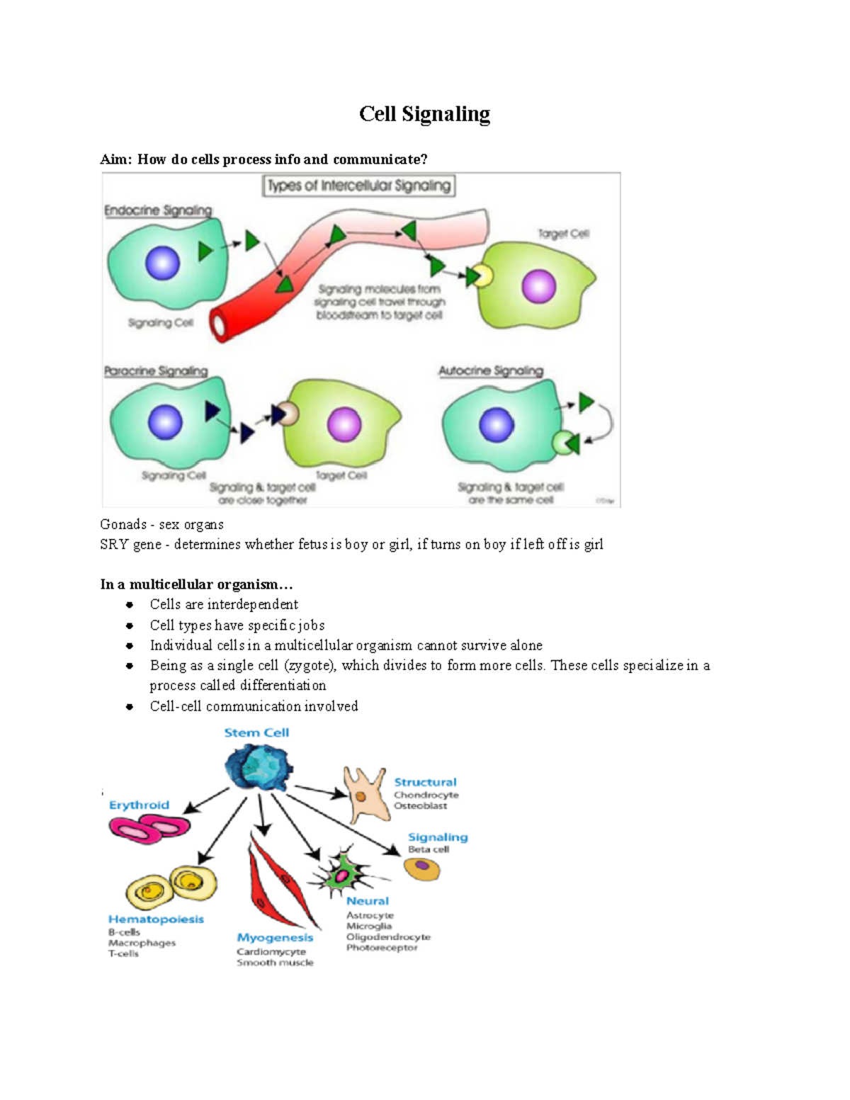 AP Bio Unit 11: Cell Communication - Cell Signaling Aim: How do cells ...