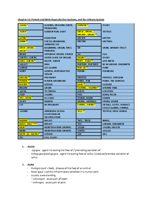Common Medical Terminology - Medical Terminology Information Sheet ...