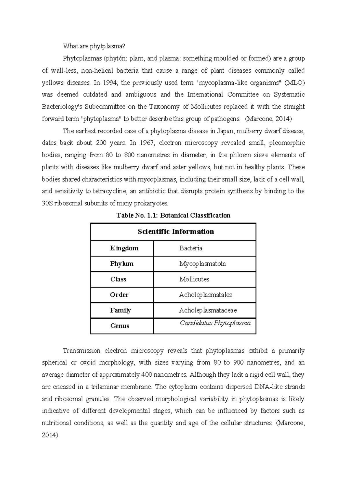 Phytoplasmas: Understanding Wall-less Bacterial Pathogens and Their ...