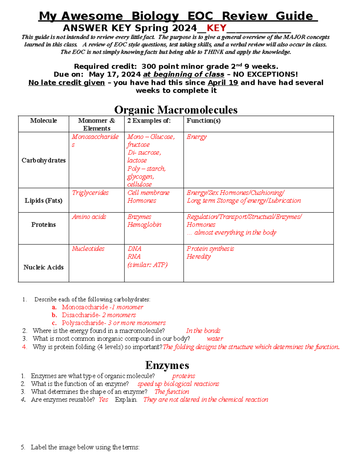 Biology EOC Review Guide Key - Spring 2024 - Studocu